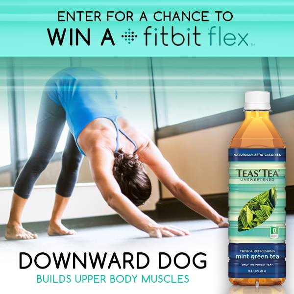 Get Your Bits Fit: Win a Fitbit Flex in the TEAS’ TEA Sweepstakes ...